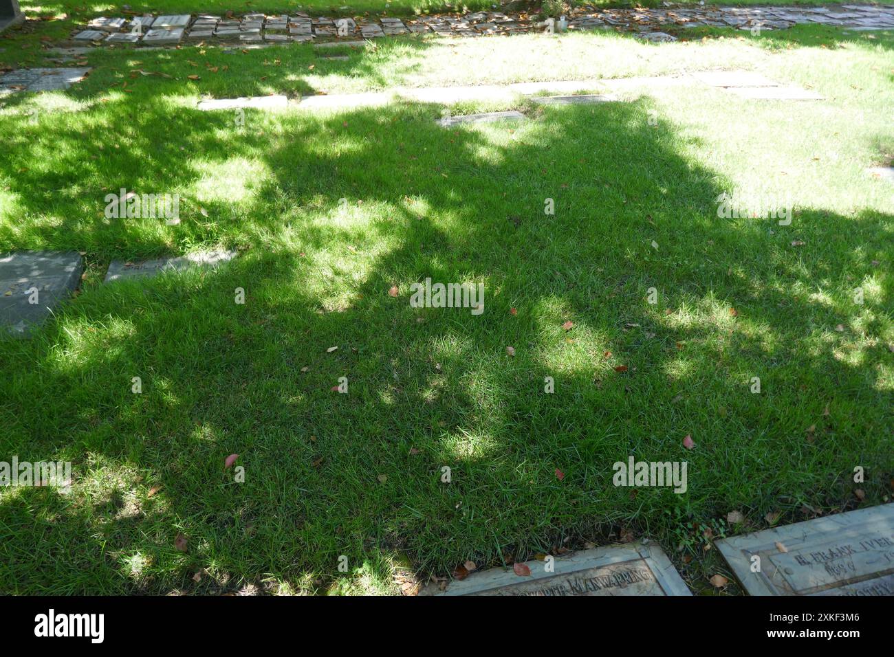 Los Angeles, California, USA 22nd July 2024 Musician Frank Zappa ...