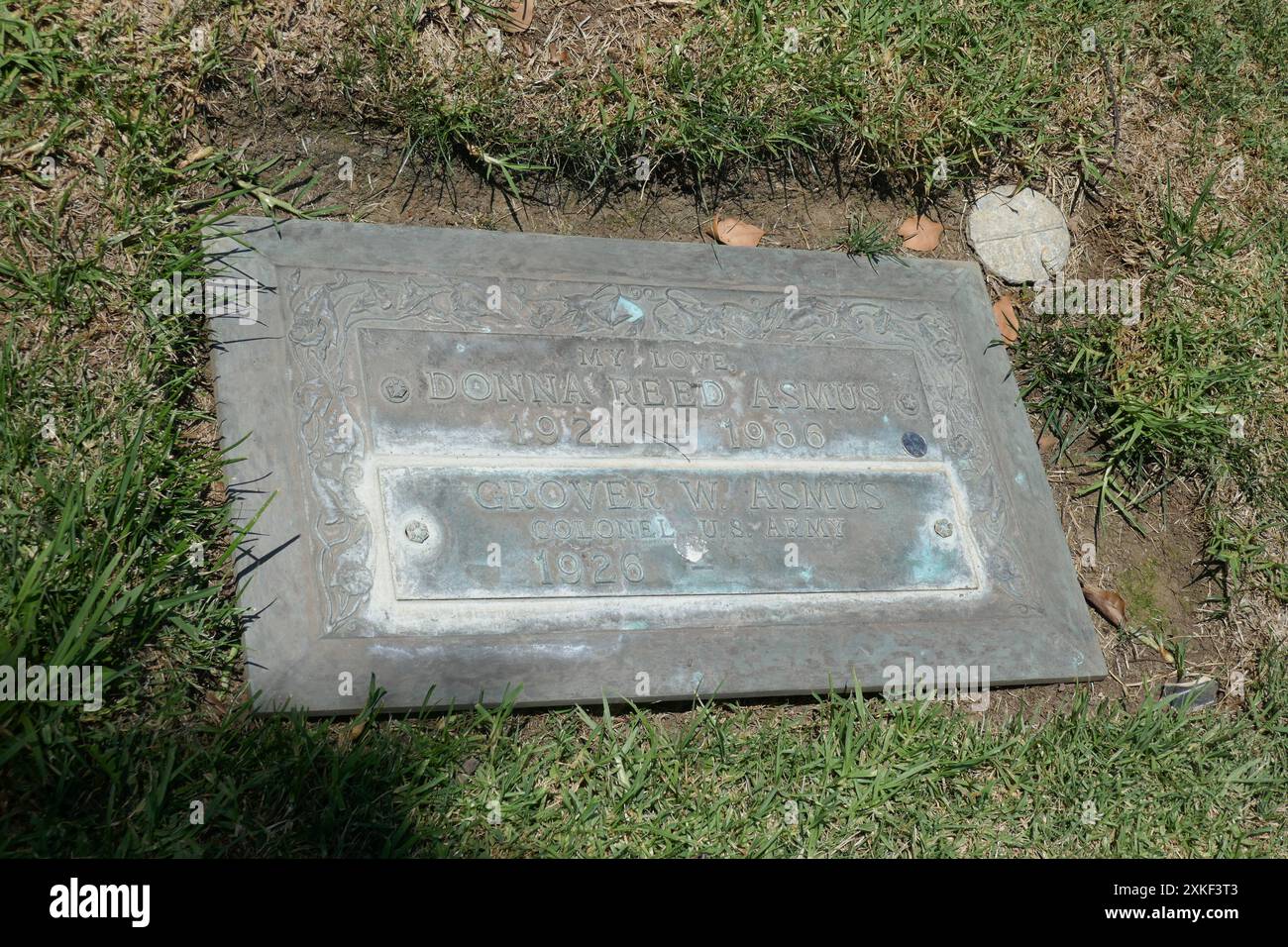 Donna reed actress hi-res stock photography and images - Alamy