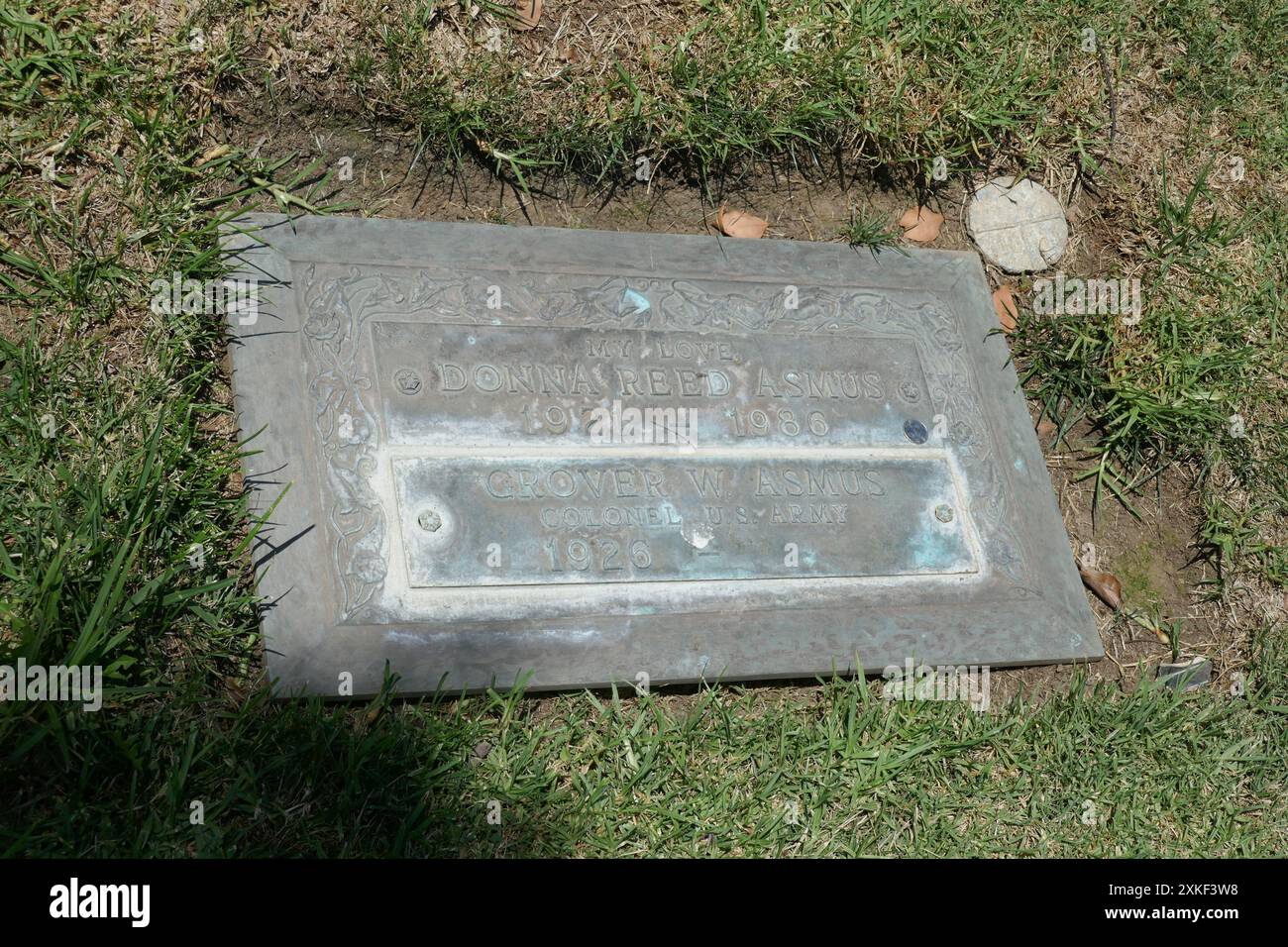 Los Angeles, California, USA 22nd July 2024 Actress Donna Reed Grave at ...