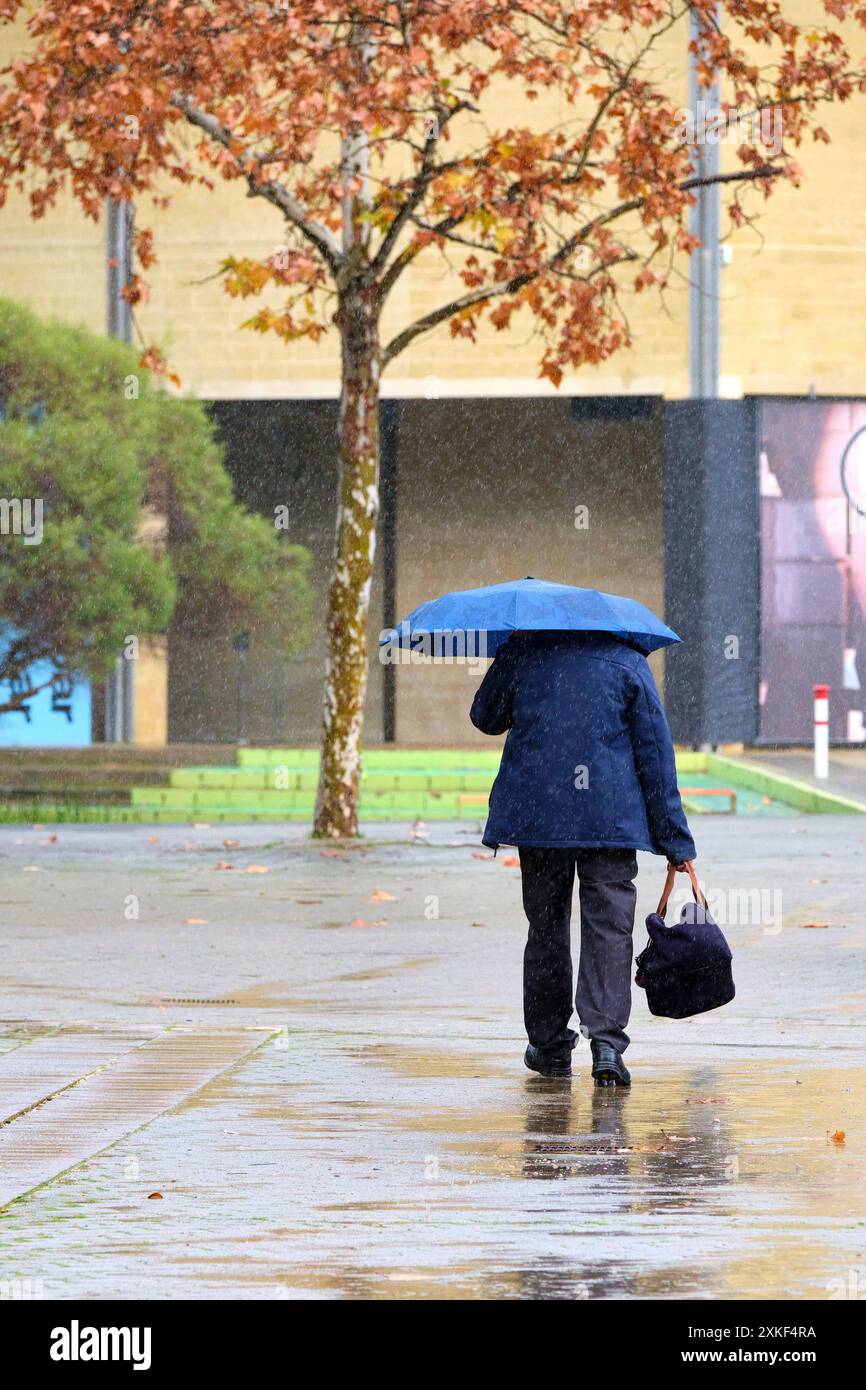 A man walking in the rain sheltering under an umbrella and carrying a ...