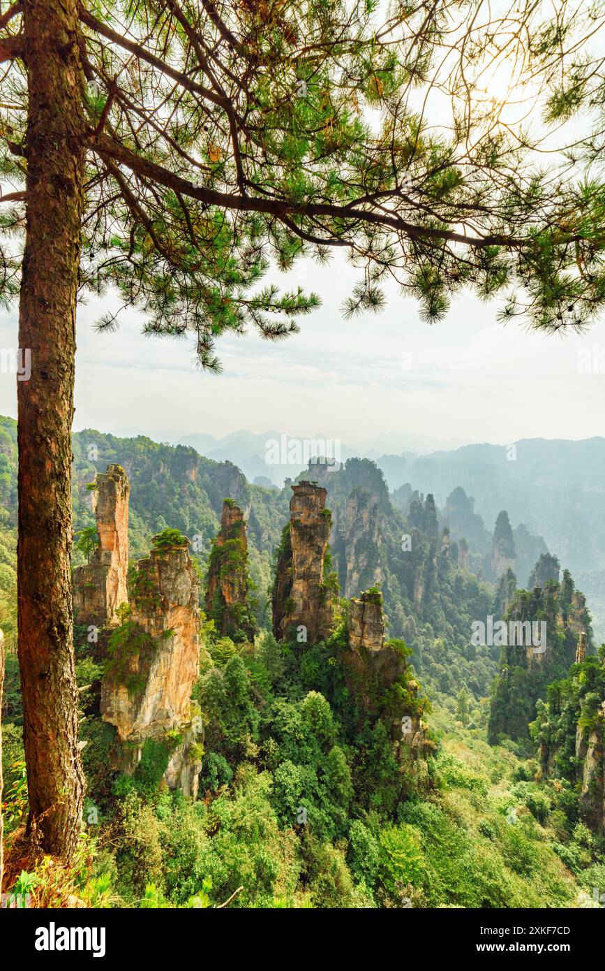 Awesome view of quartz sandstone pillars (Avatar Mountains Stock Photo ...
