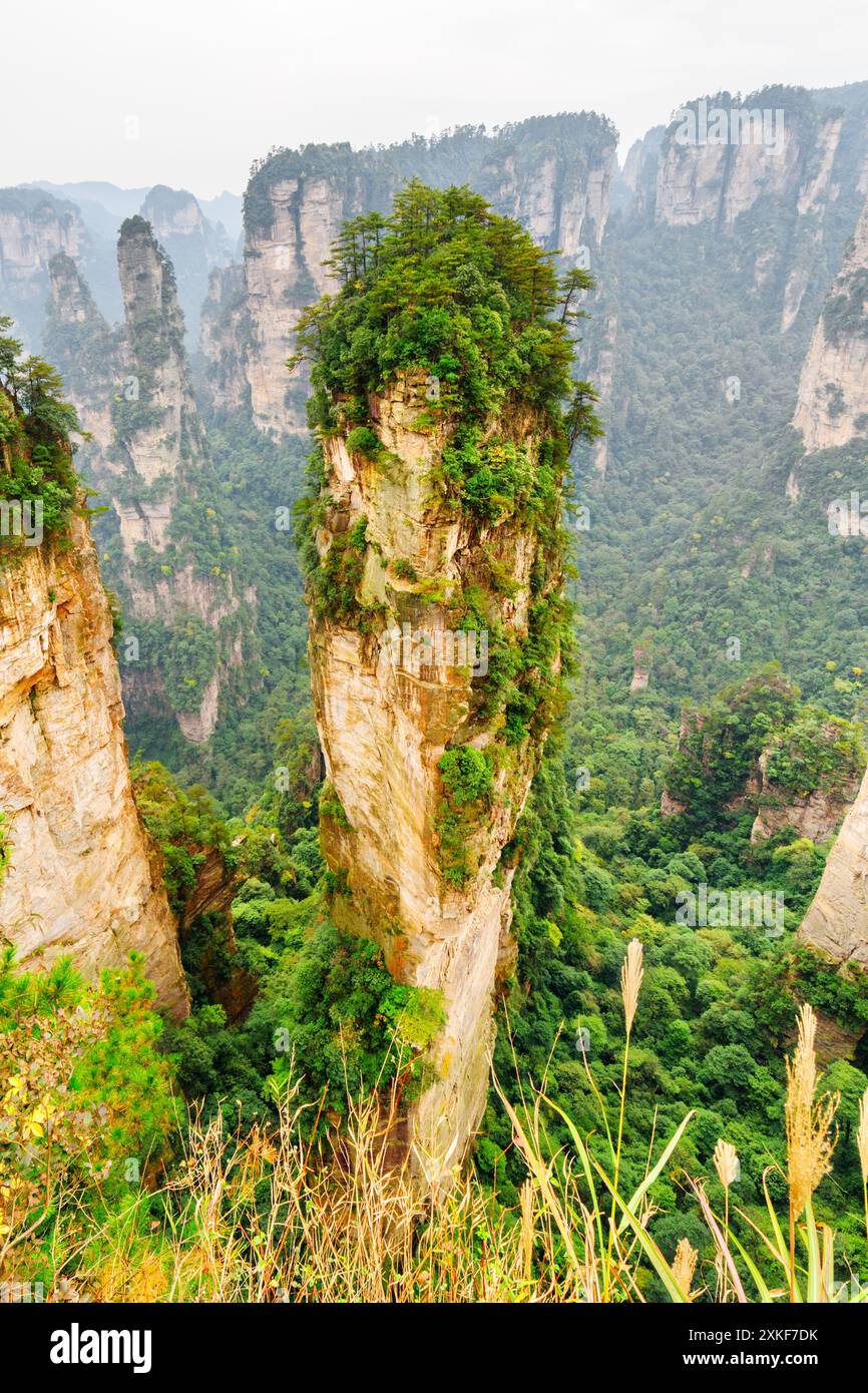 Quartz sandstone pillars (Avatar Mountains Stock Photo - Alamy