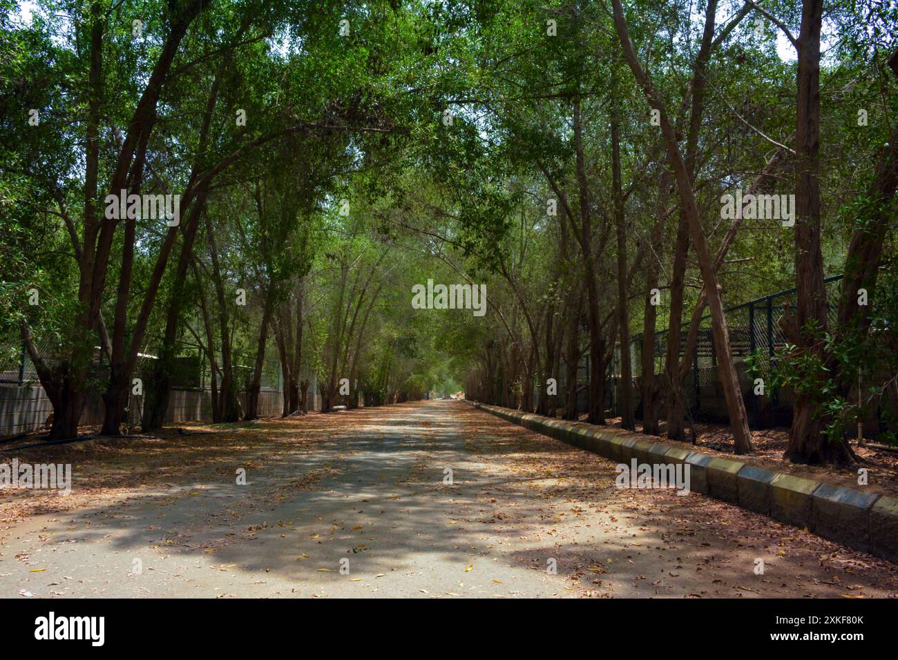 Beautiful village road in Jeddah, Saudi arabia Stock Photo - Alamy