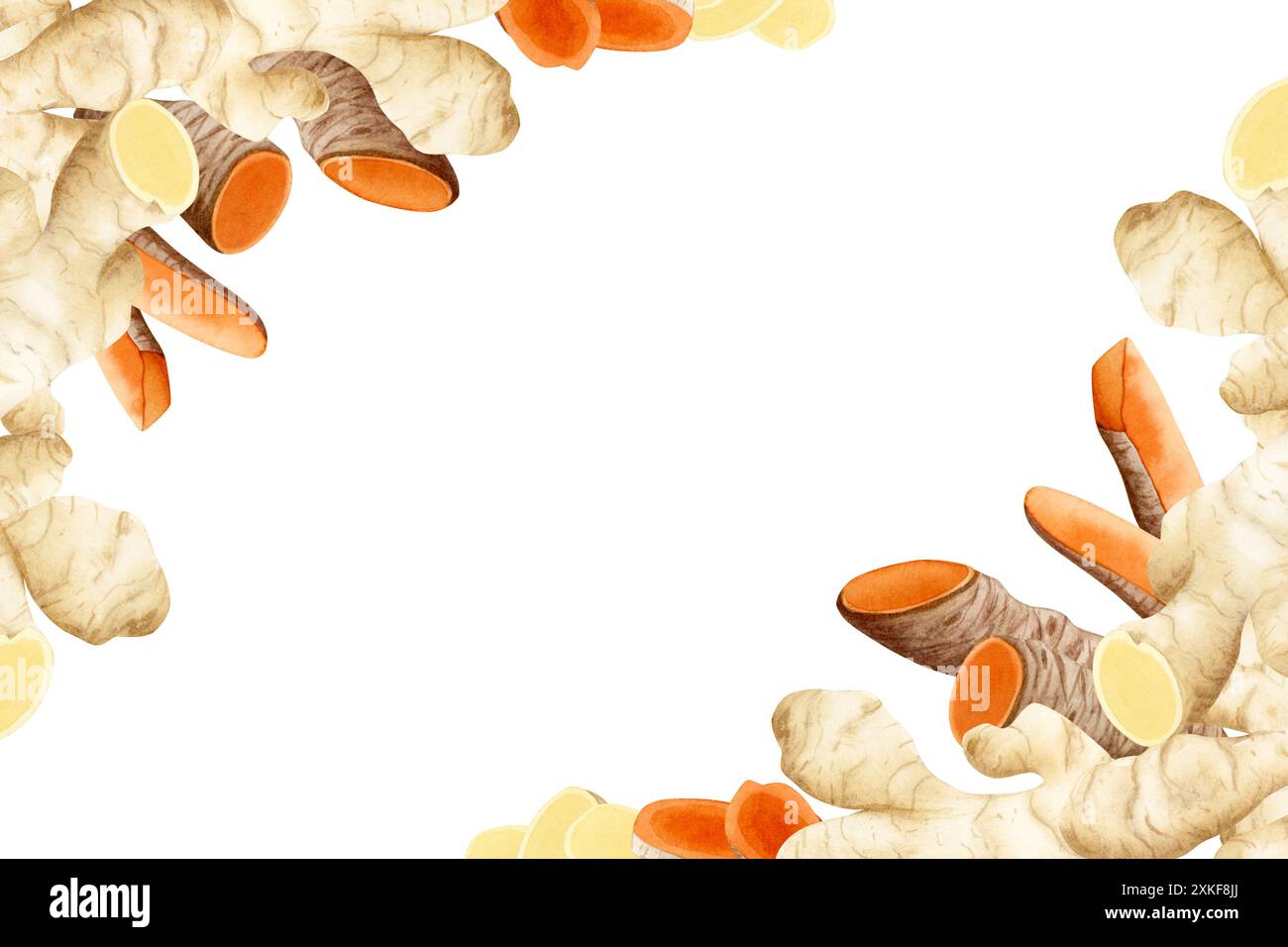 Turmeric and ginger roots corner frame banner illustration isolated on ...