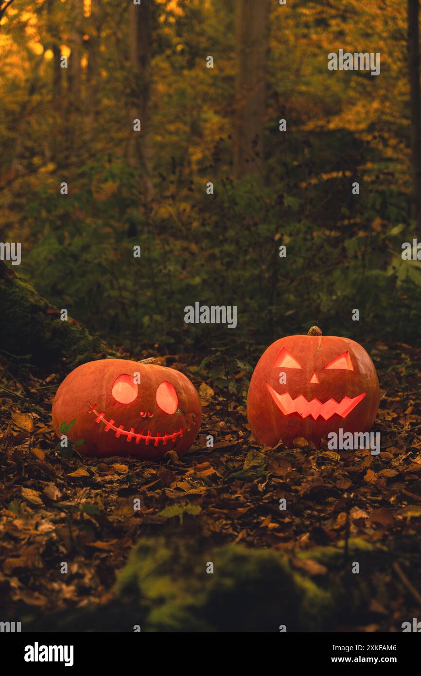 two glowing pumpkin heads on the ground in forest Stock Photo - Alamy