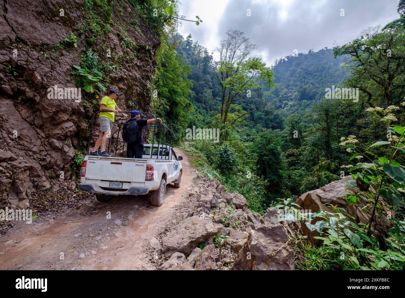 Maya biosphere reserve guatemala hi-res stock photography and images ...