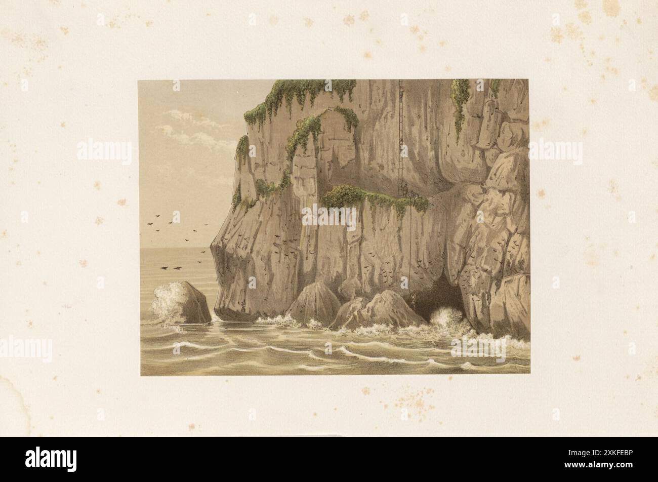 a beach of java Stock Photo - Alamy