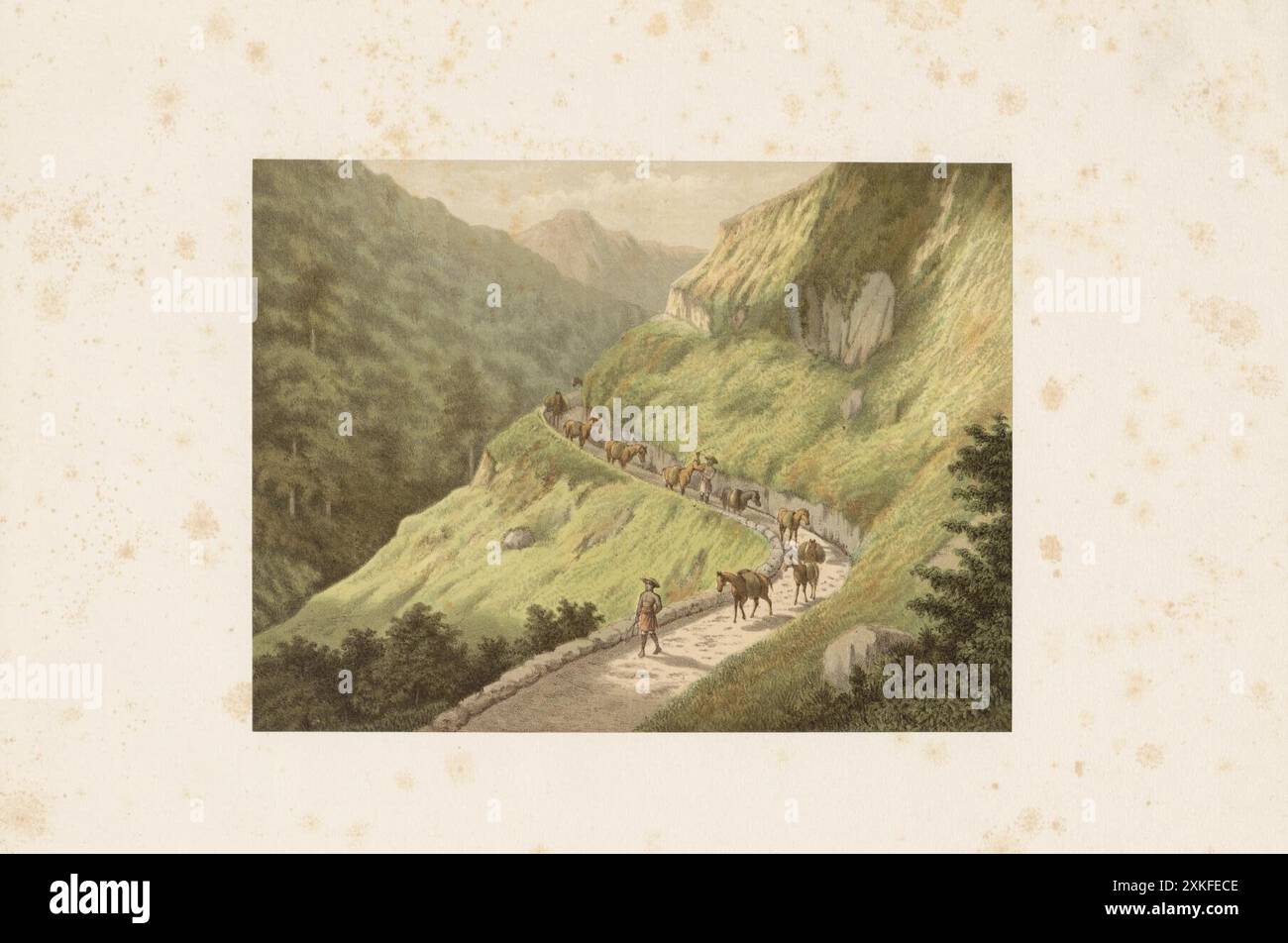 horses carry crops Stock Photo - Alamy