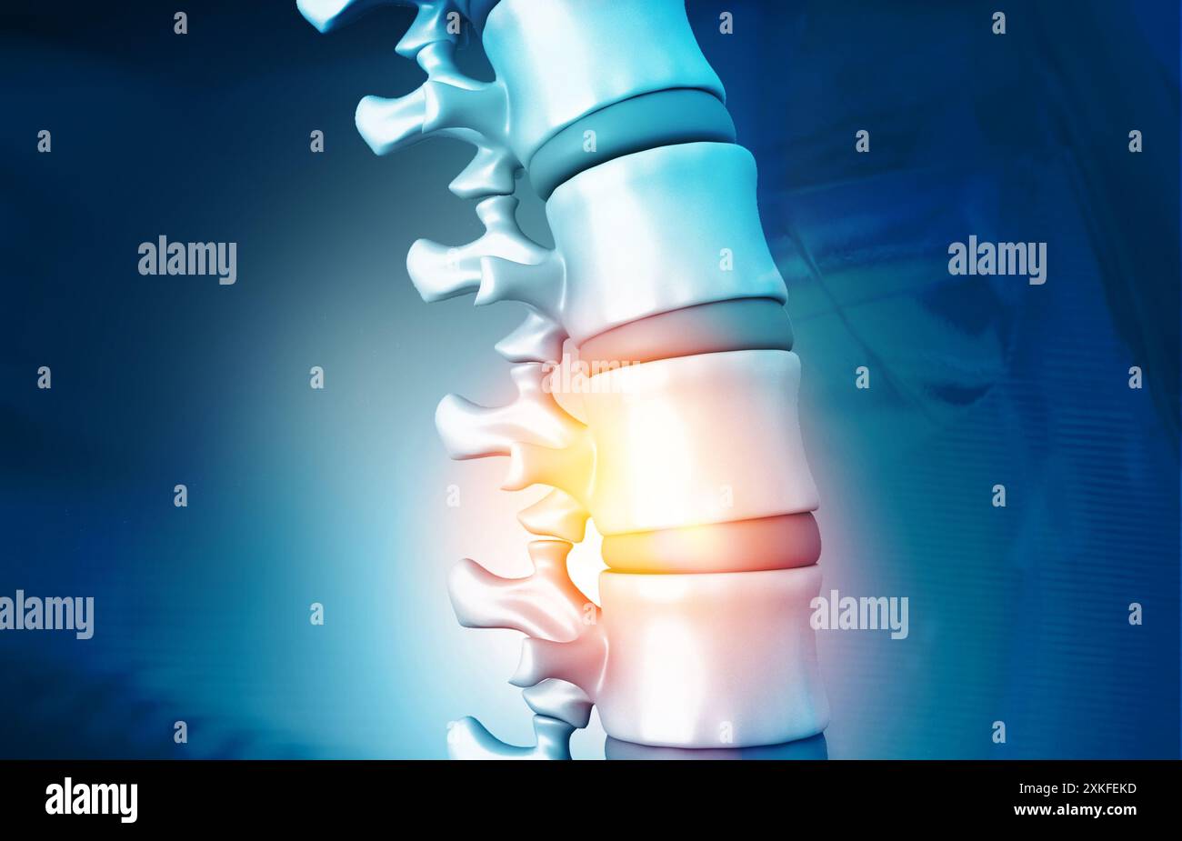 Human spine, vertebrae anatomy on science background. 3d illustration ...