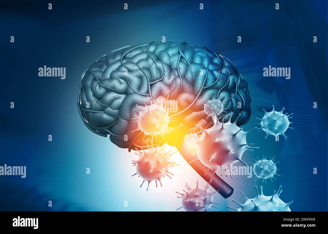 Human brain 3d hi-res stock photography and images - Alamy