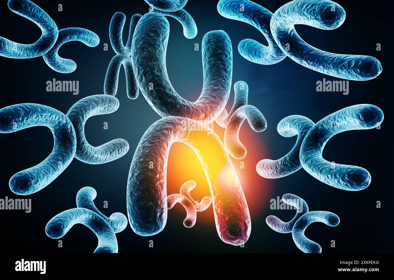 XY chromosomes background. 3d illustration Stock Photo - Alamy