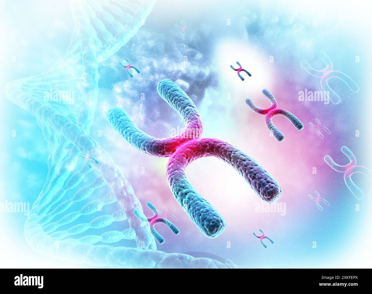 X and y human chromosomes hi-res stock photography and images - Alamy X and y human chromosomes hi-res stock photography and images - Alamy