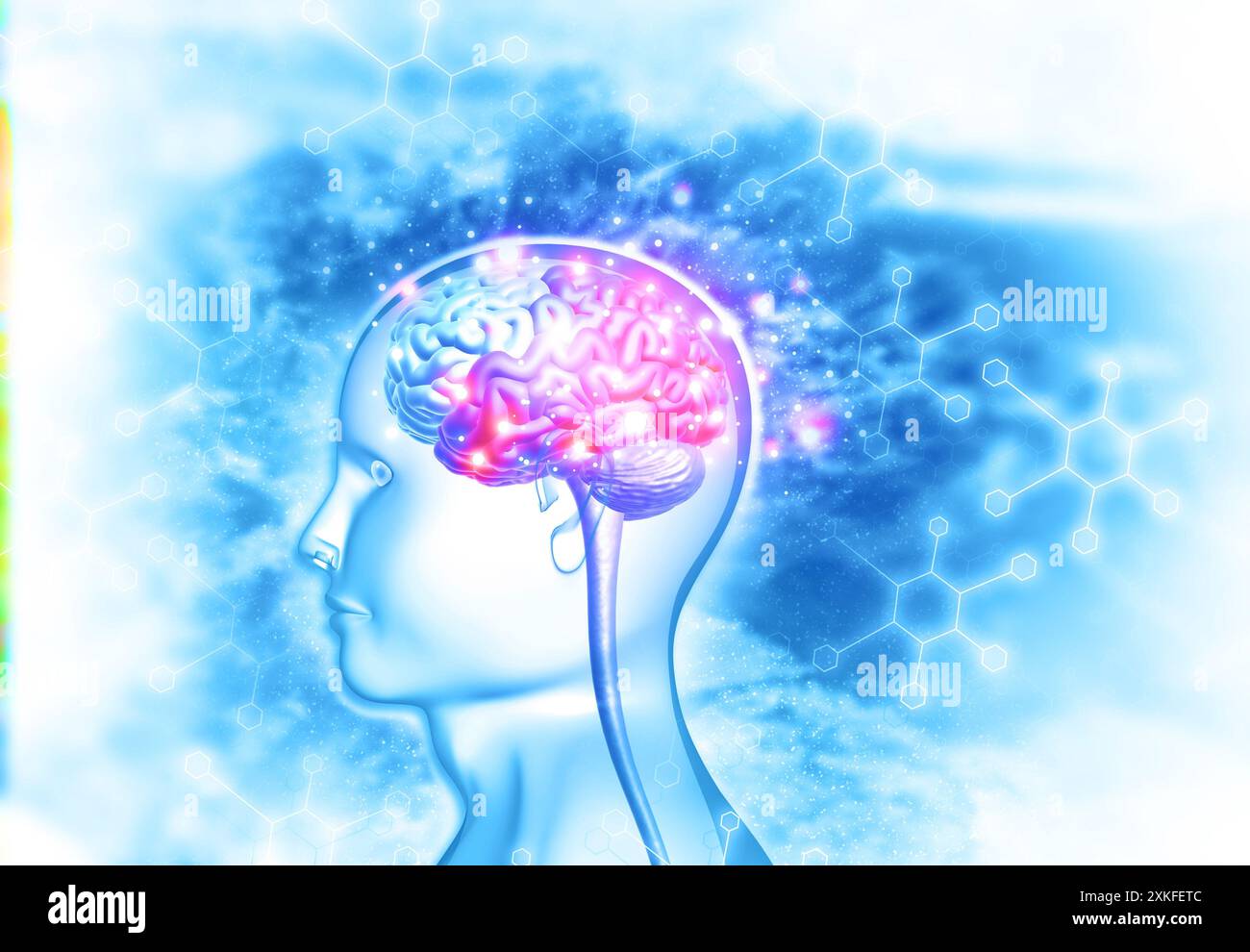 Human brain anatomy on scientific background. 3d illustration Stock ...