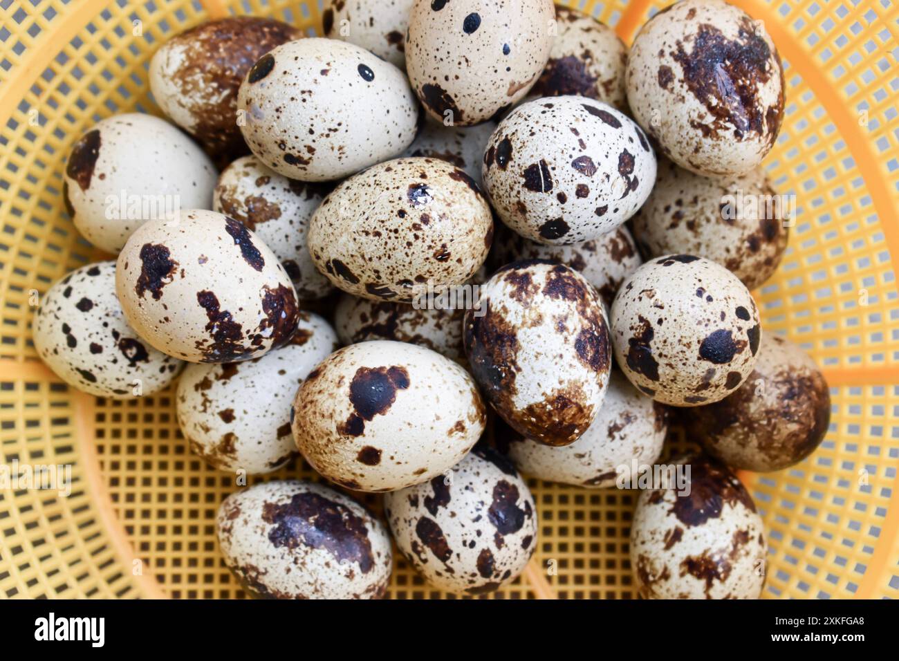Top view of raw quail eggs. High protein rich food Stock Photo - Alamy