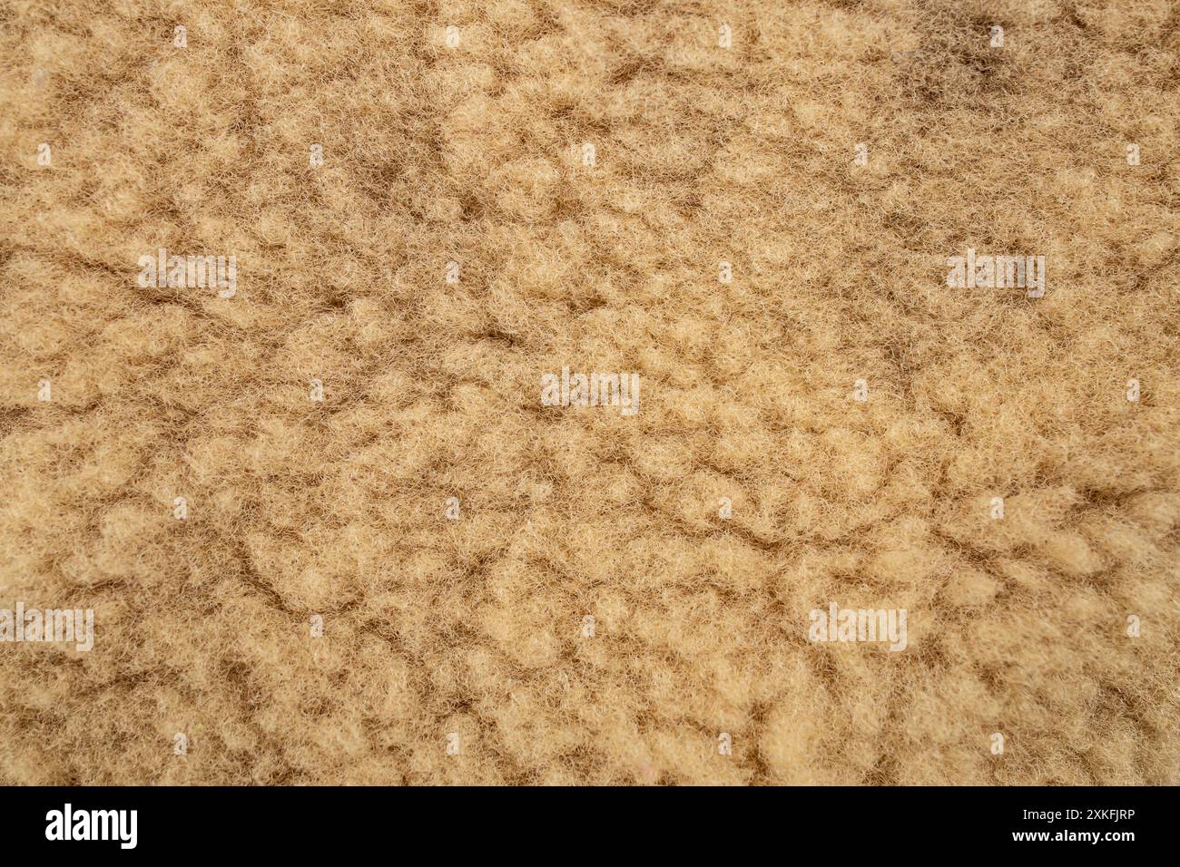 Fur clothing hi-res stock photography and images - Alamy