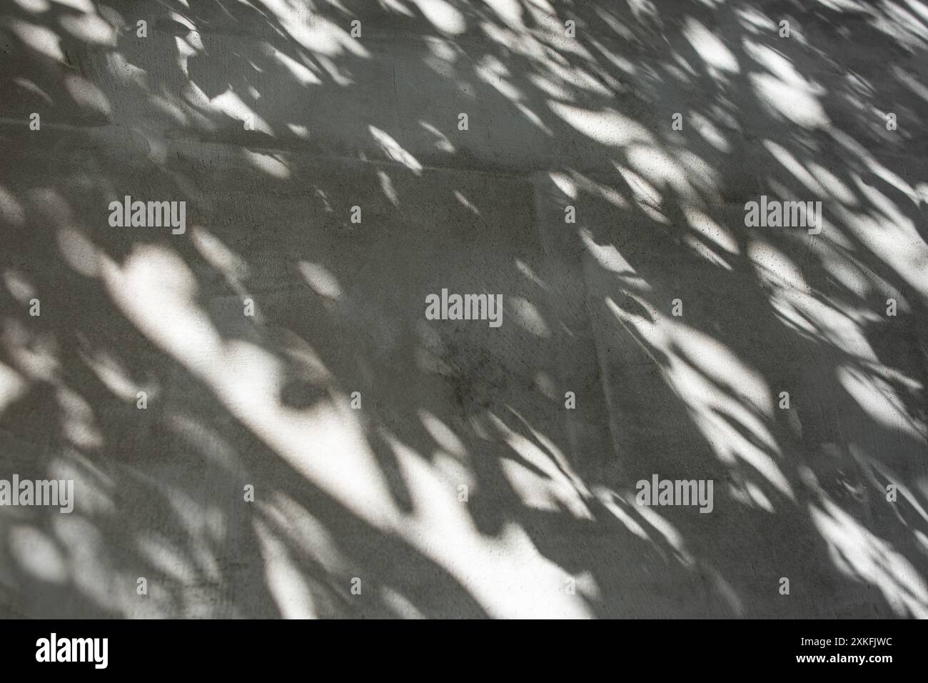 Hard tree hi-res stock photography and images - Alamy