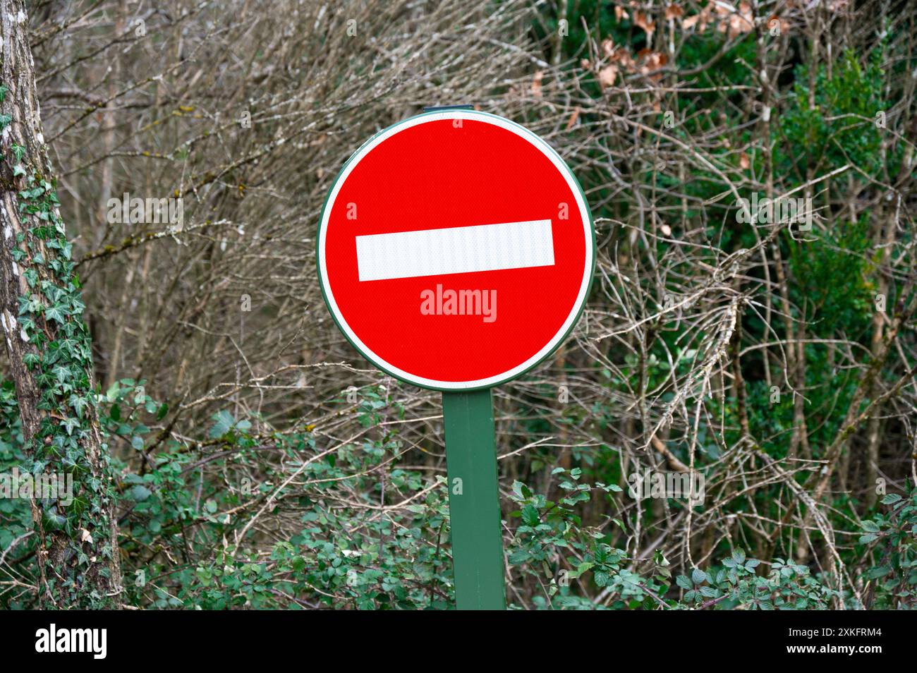 A red No Entry road sign in a forest area, indicating restricted access ...