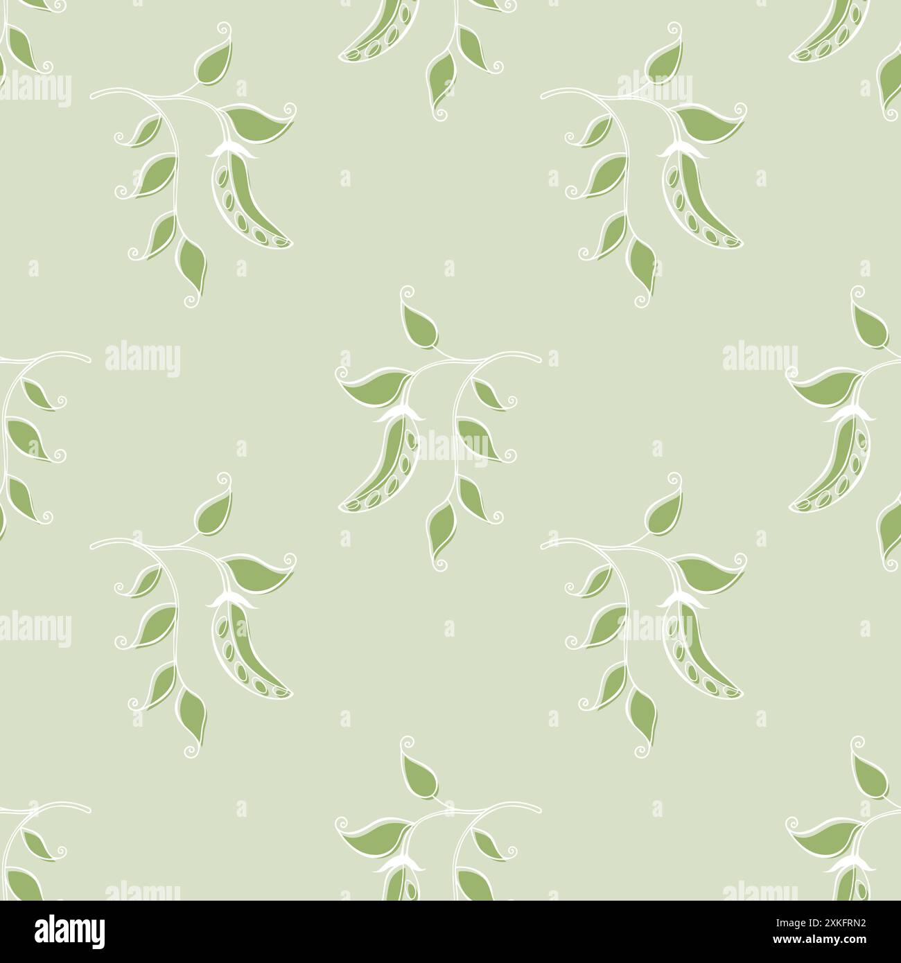 Pattern with branch of Pea pods , on green pastel background. Vector ...