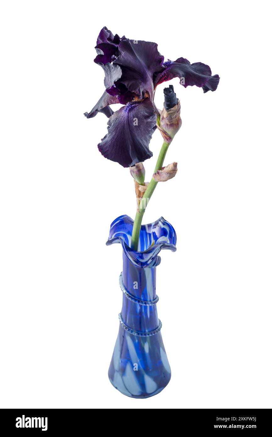 Dark flower vase Cut Out Stock Images & Pictures - Alamy