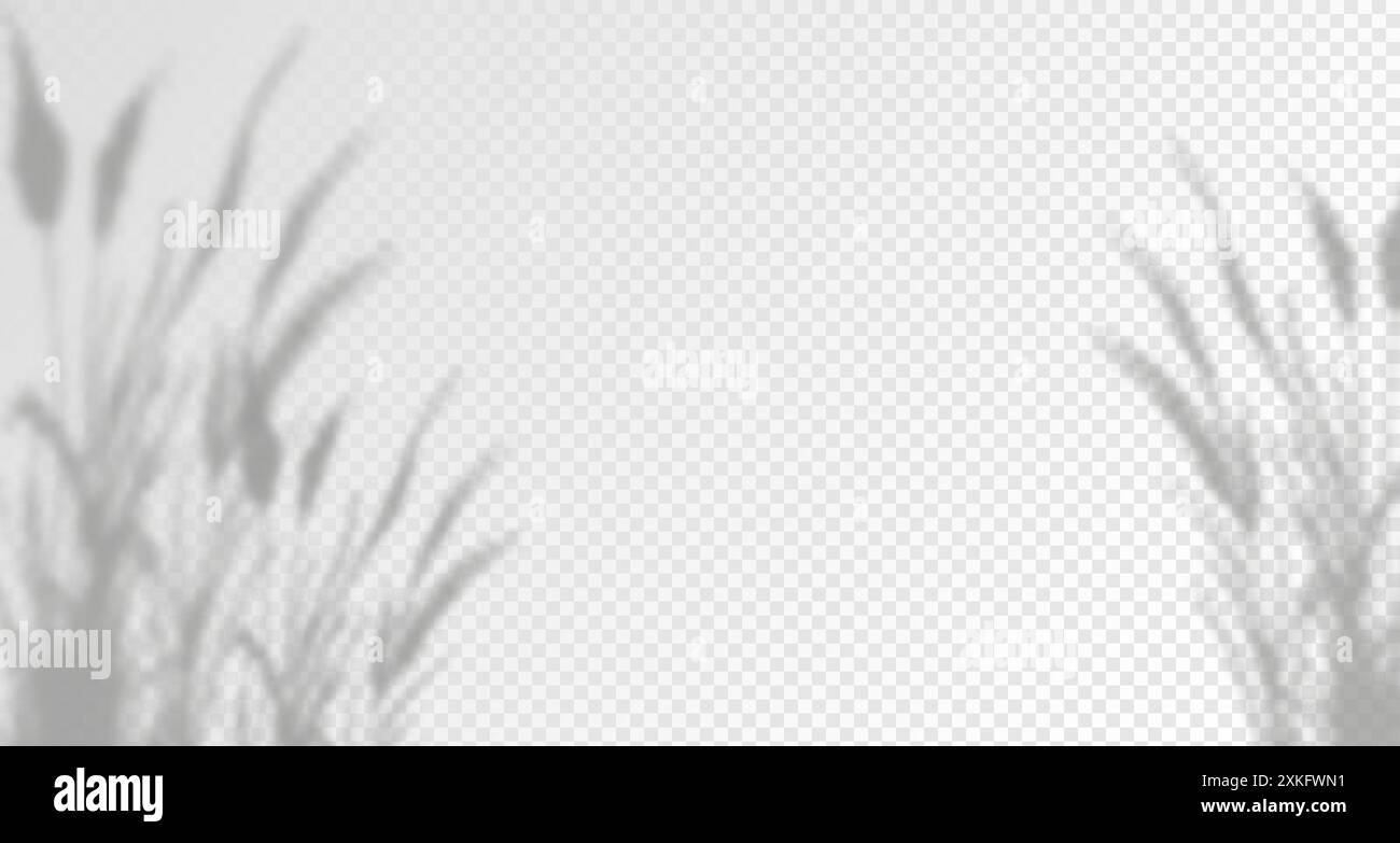 Soft overlay of natural light. Abstract background for product ...