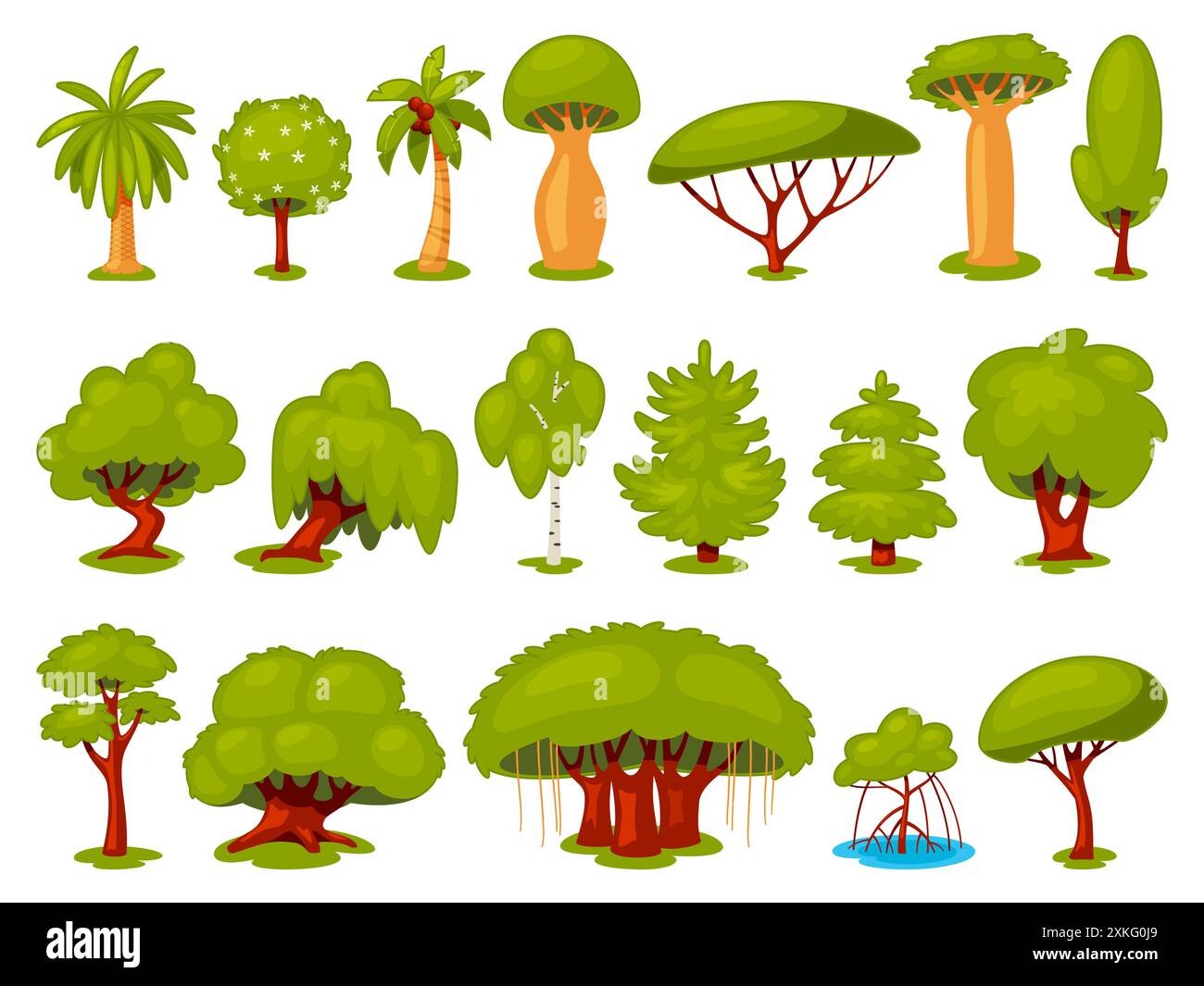 Cartoon deciduous and coniferous trees. Stylized forest botany ...