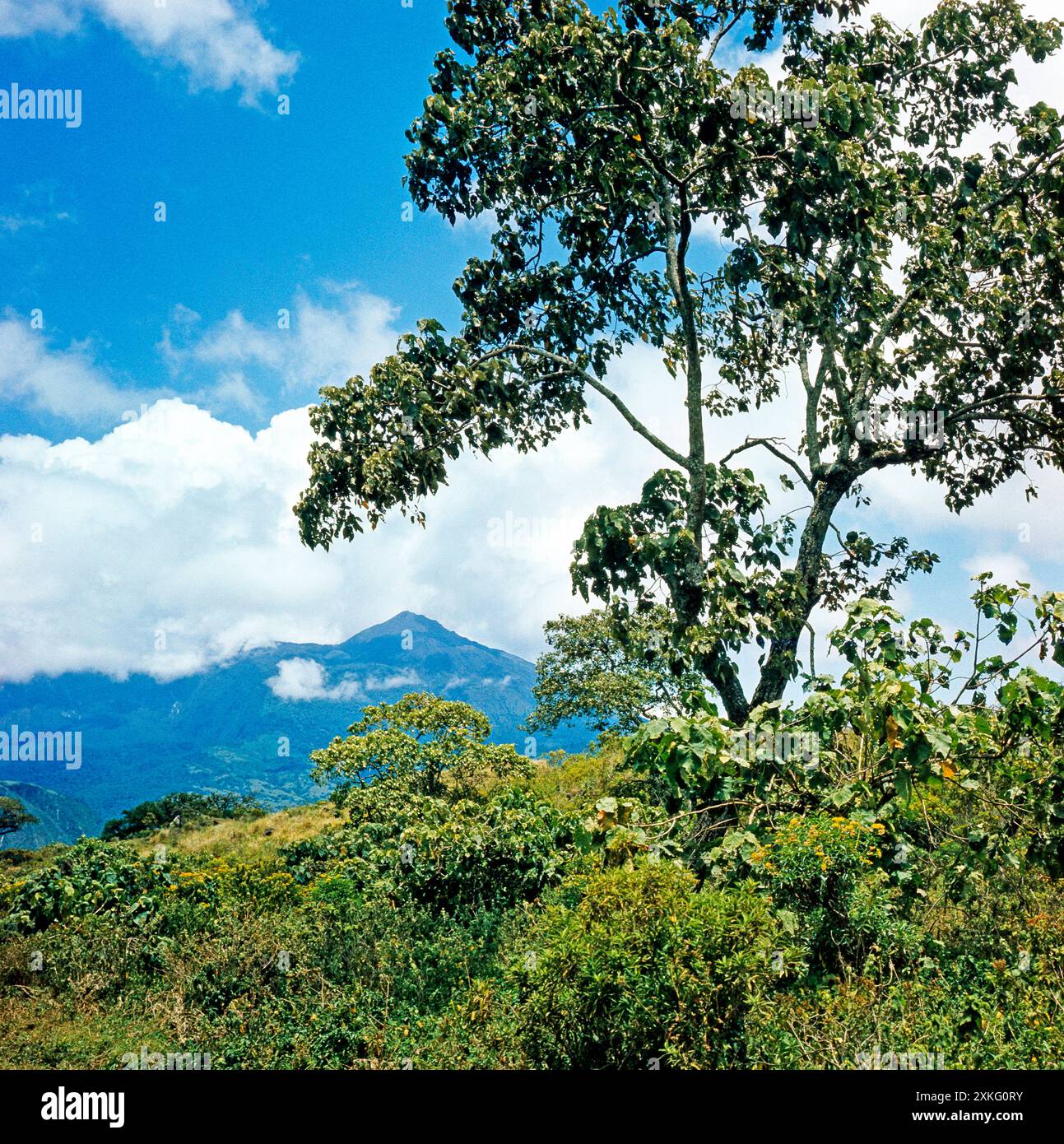 Tansania mount meru hi-res stock photography and images - Alamy