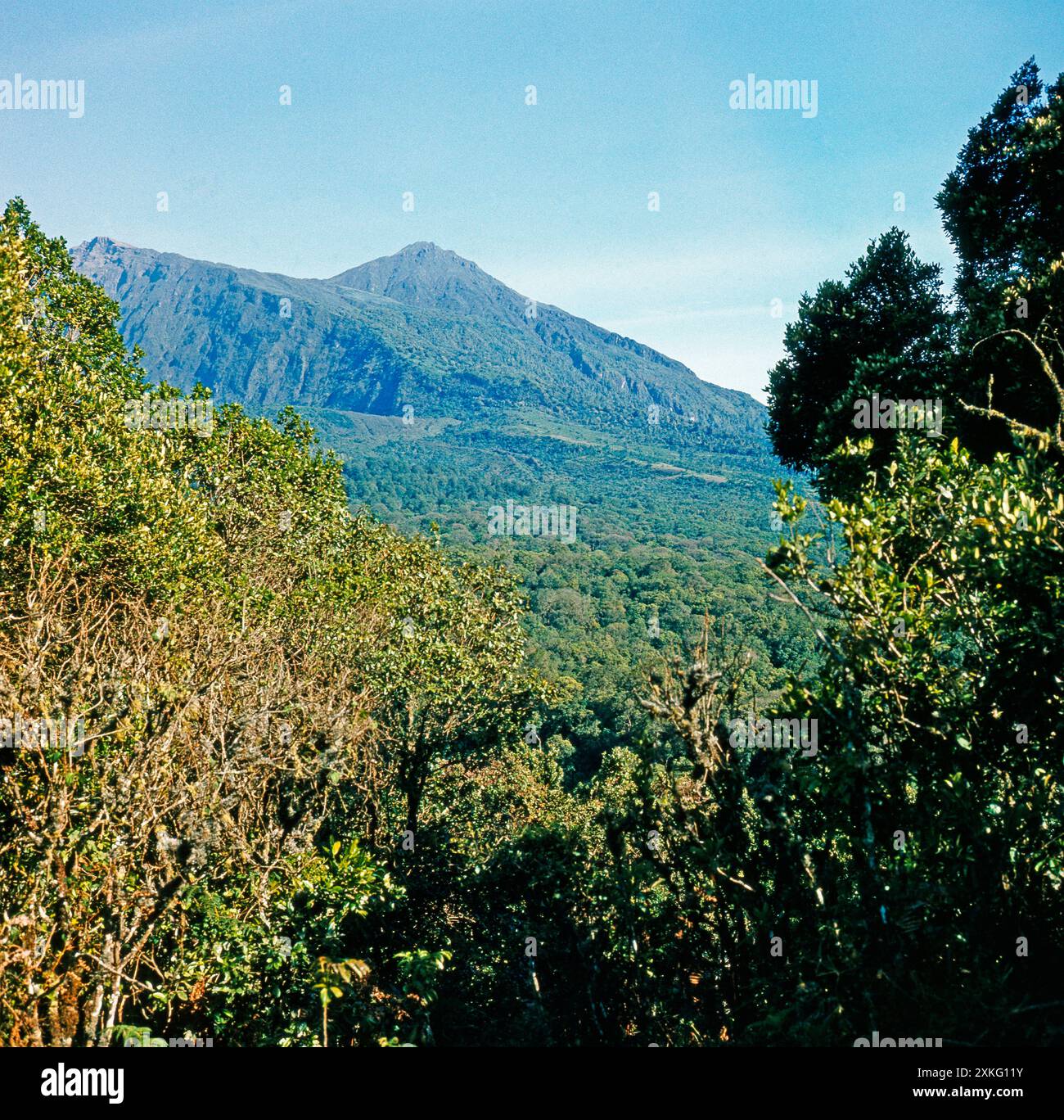 Tansania mount meru hi-res stock photography and images - Alamy