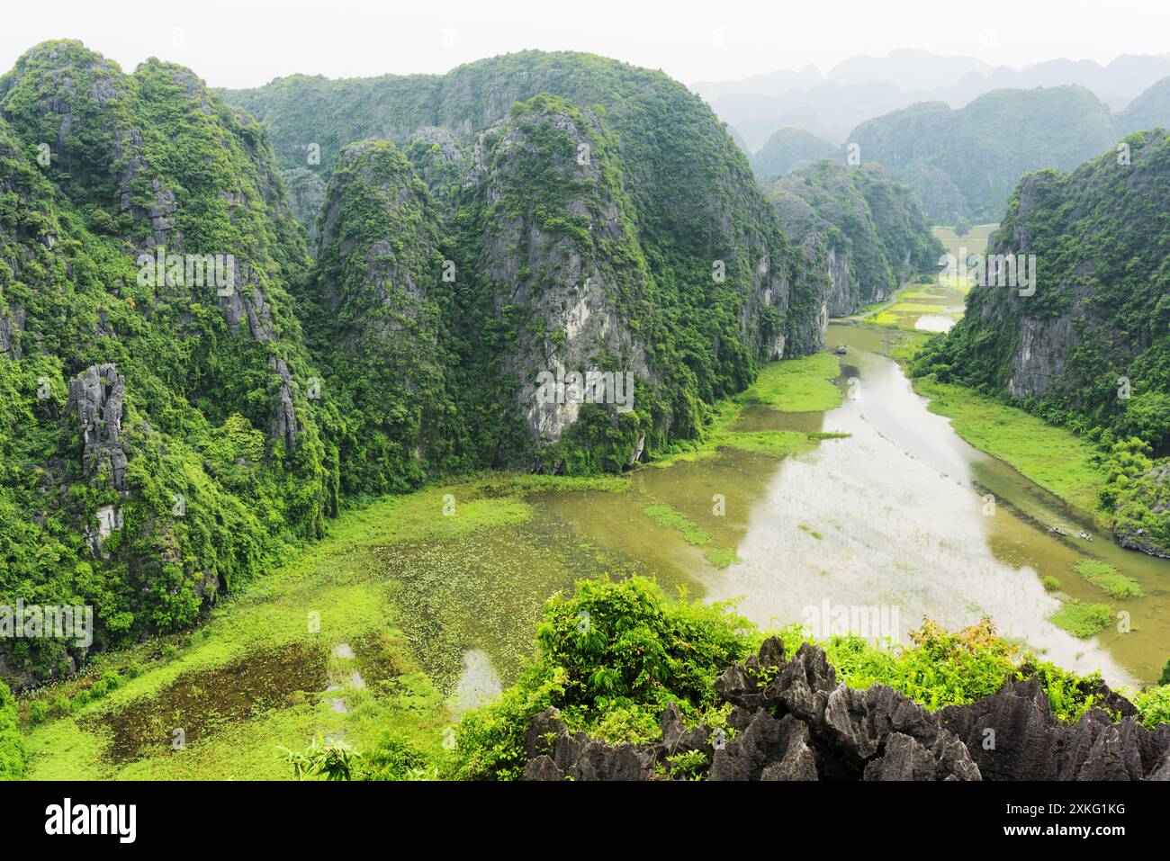 Top view of karst towers, rice fields and the Ngo Dong River Stock ...