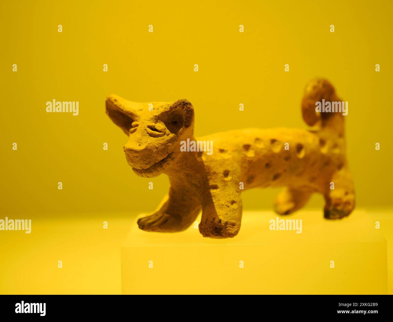 BOGOTA, COLOMBIA - JULY 3, 2024: Superb ceramic pottery on display in ...