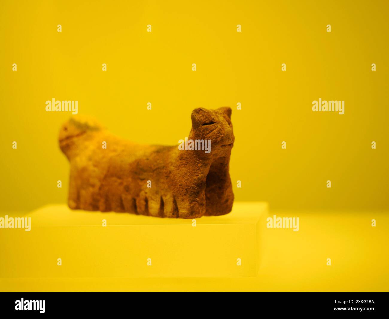 BOGOTA, COLOMBIA - JULY 3, 2024: Superb ceramic pottery on display in ...