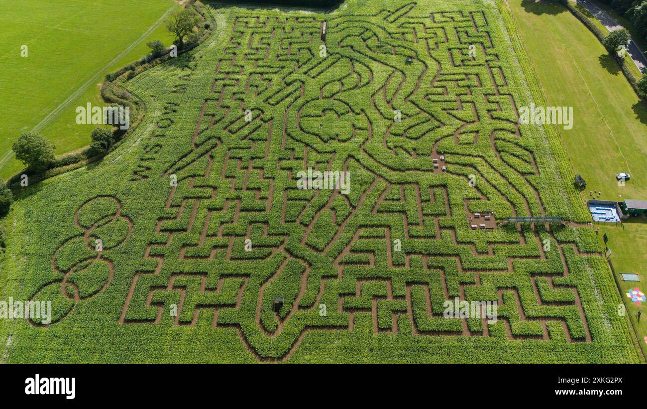 A view of Wistow Maze in Leicestershire, inspired by heptathlete ...