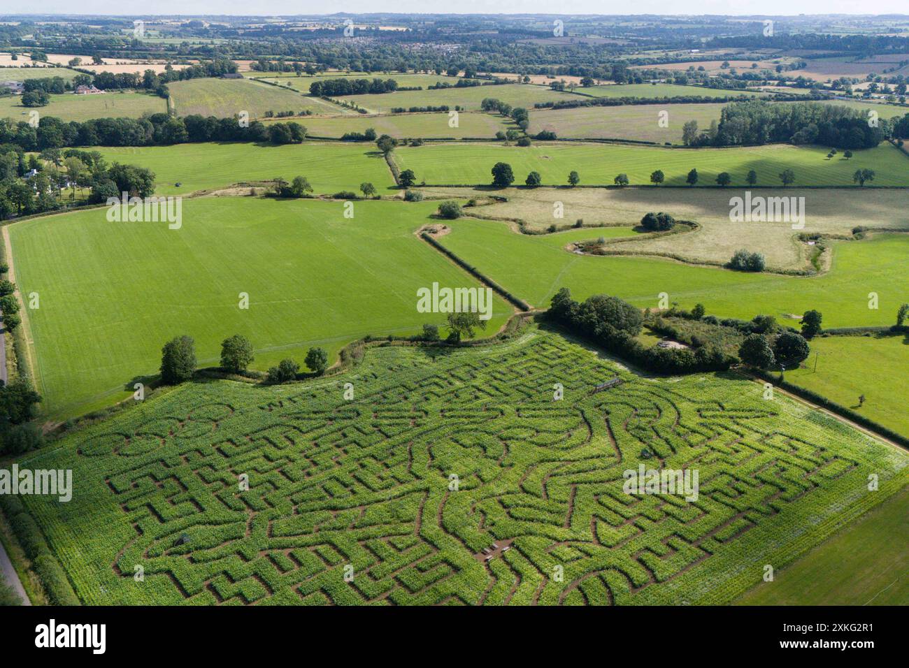 A view of Wistow Maze in Leicestershire, inspired by heptathlete ...