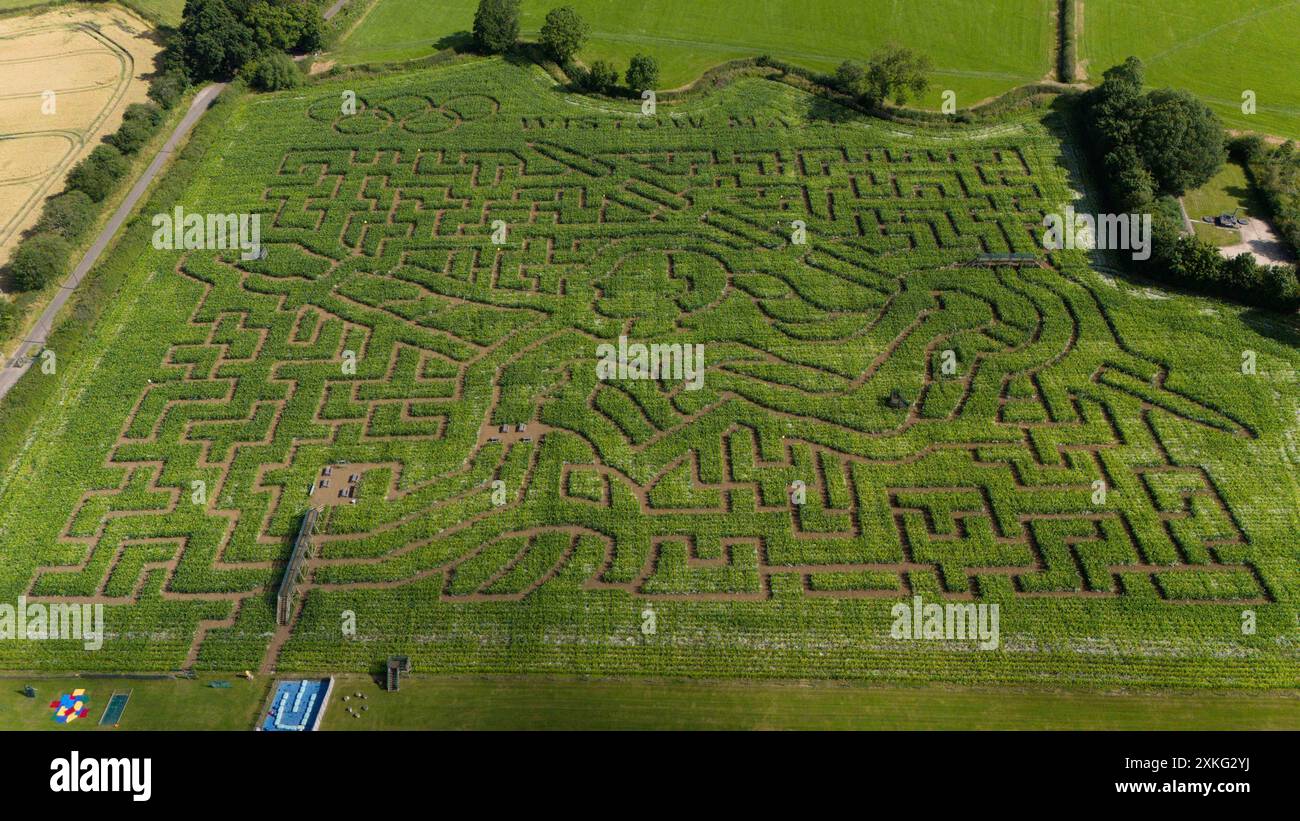 A view of Wistow Maze in Leicestershire, inspired by heptathlete ...