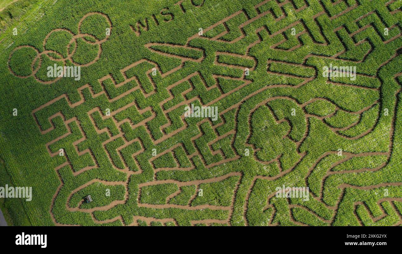 A view of Wistow Maze in Leicestershire, inspired by heptathlete ...