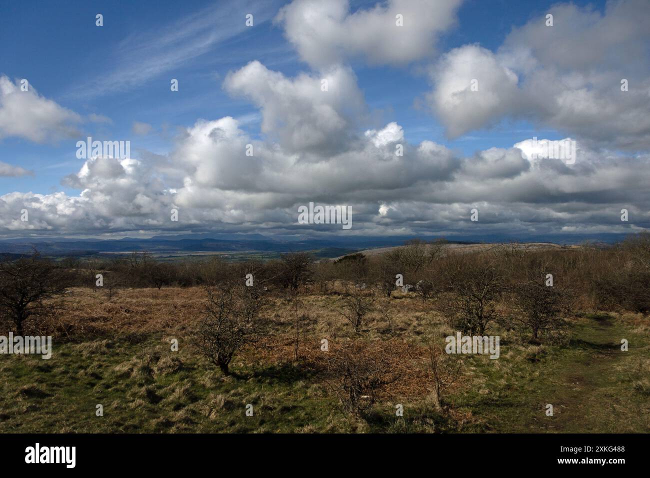 The summit plateau Hutton Roof Crags near Burton in Kendal Westmorland ...