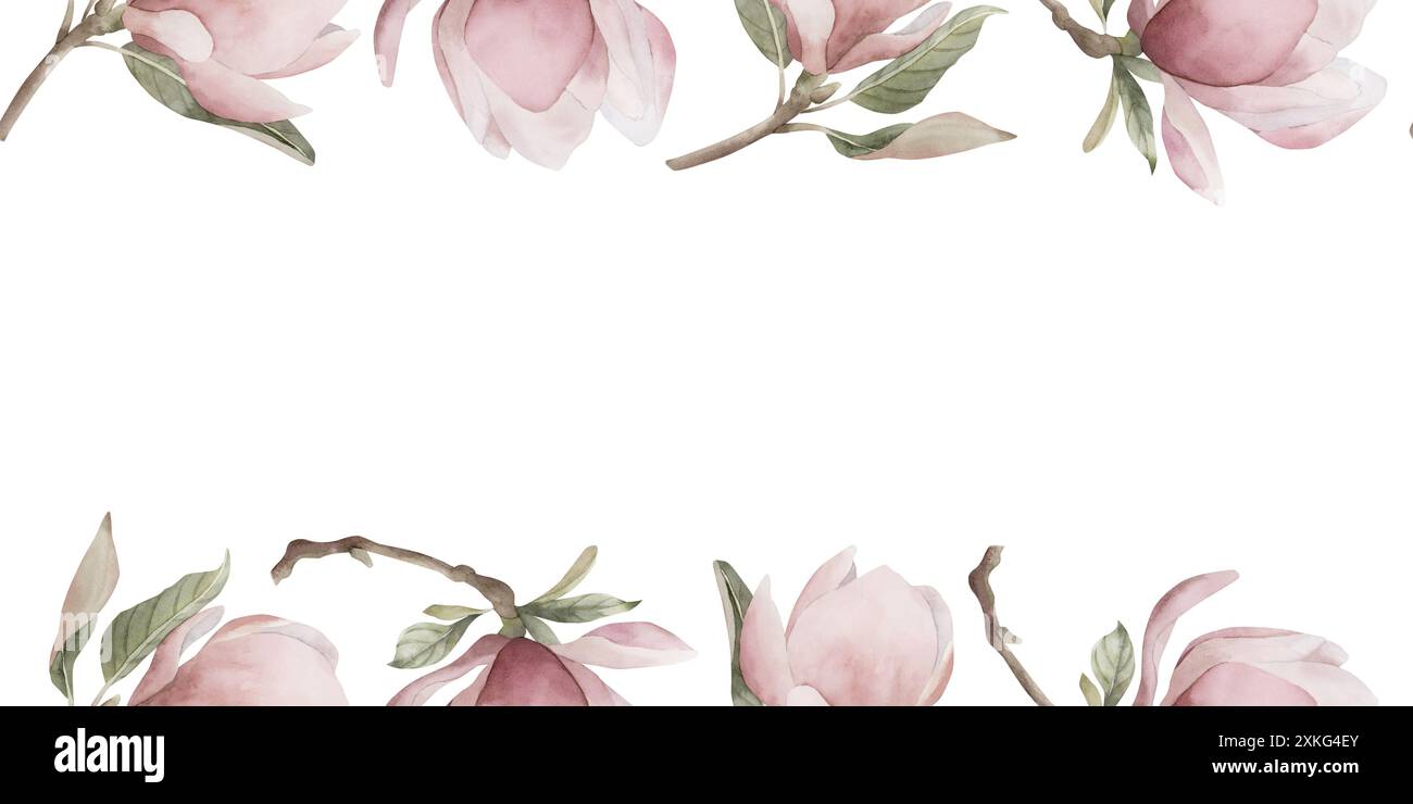 Light pink magnolia branches with flowers and leaves. Seamless border ...