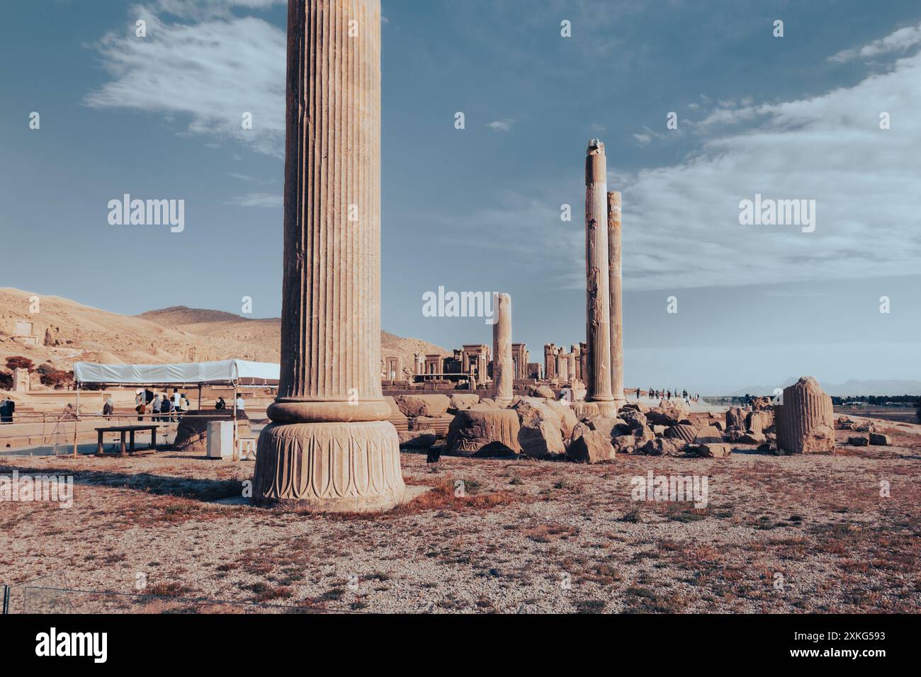 Ruins of Apadana Palace (Audience Hall) in Persepolis, the ancient ...