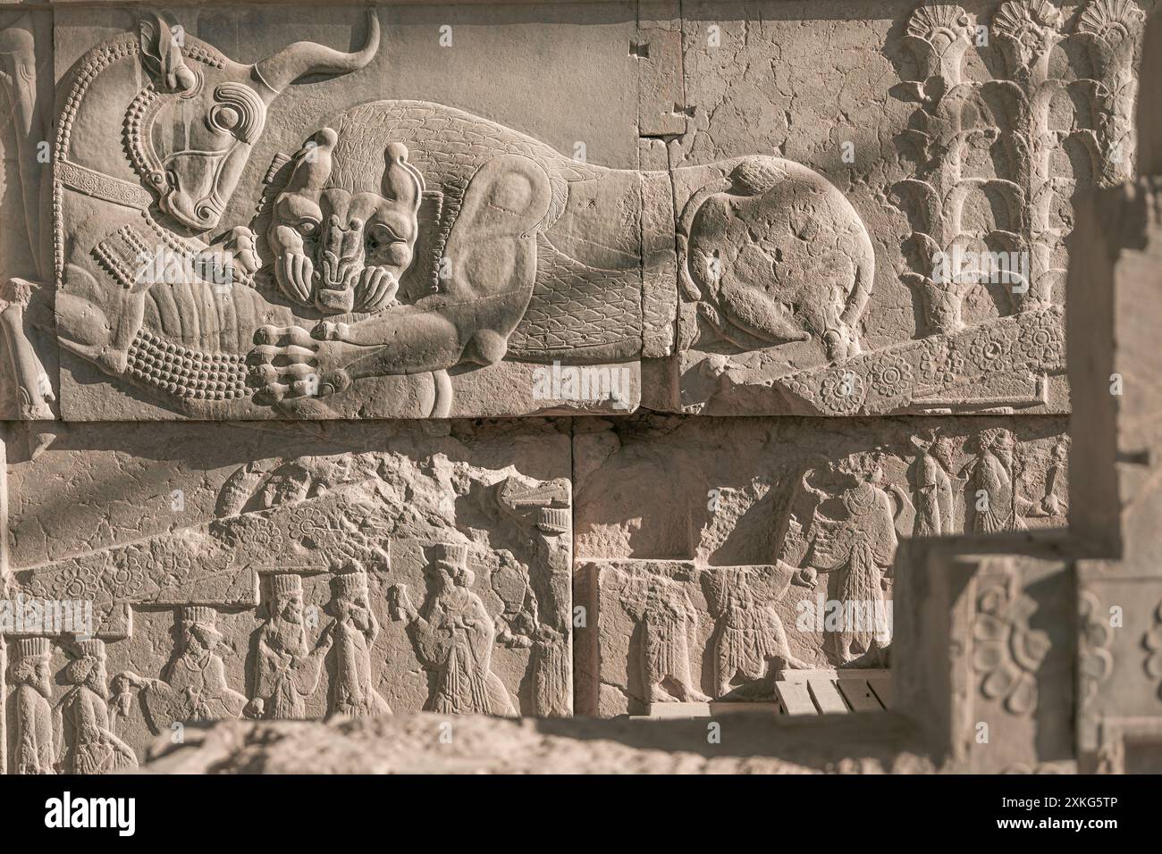 Bas-relief carvings of a lion hunting a bull in Persepolis, the ancient ...