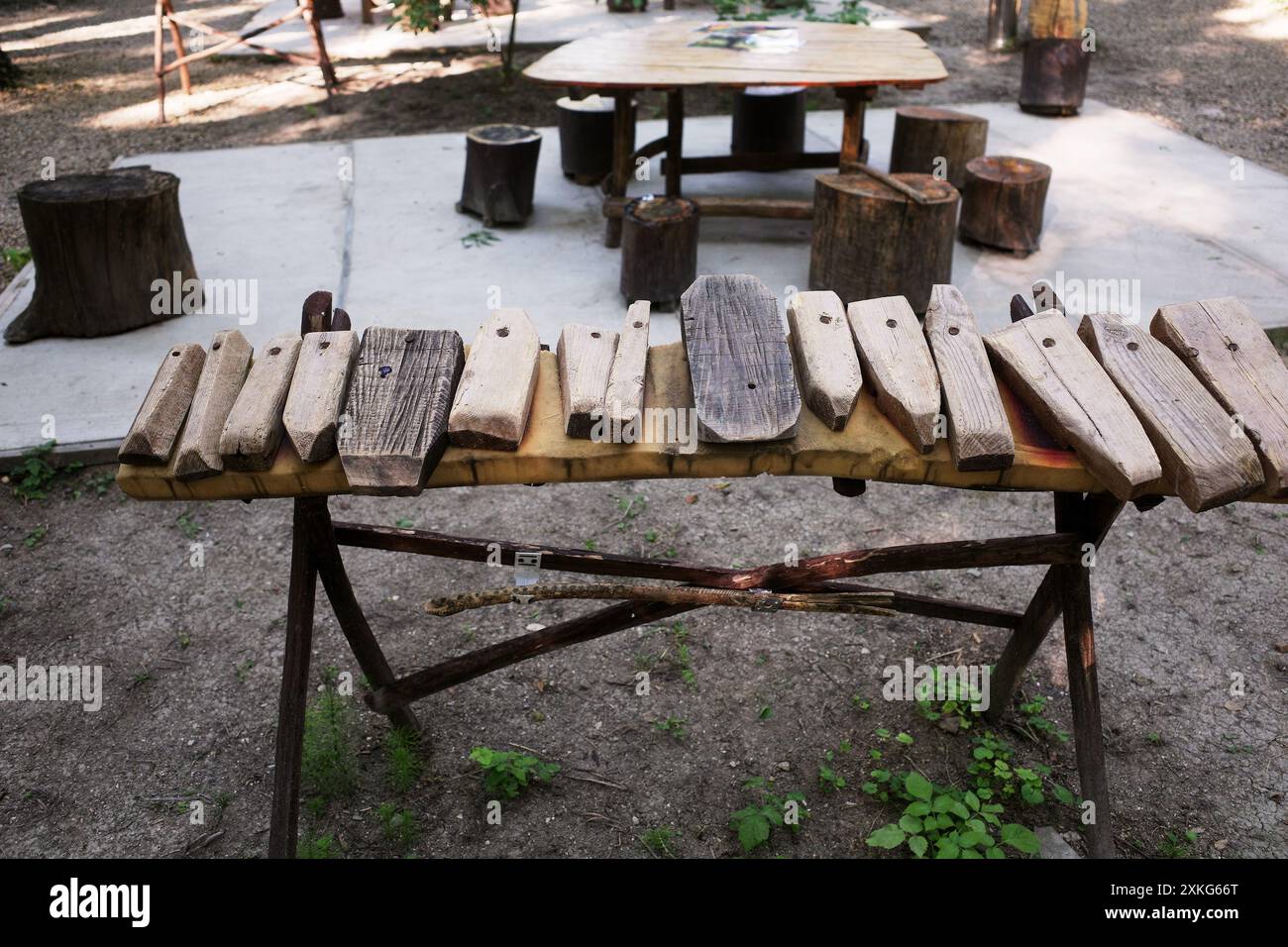 An African musical instrument xylophone made of wood. Ethnic musical ...