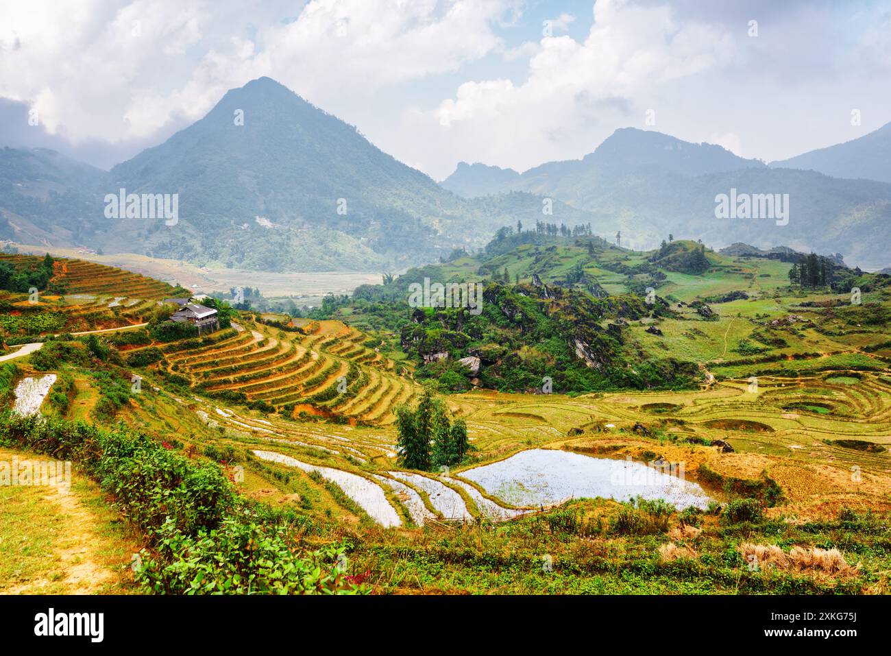 Scenic view of rice terraces filled with water at highlands Stock Photo ...