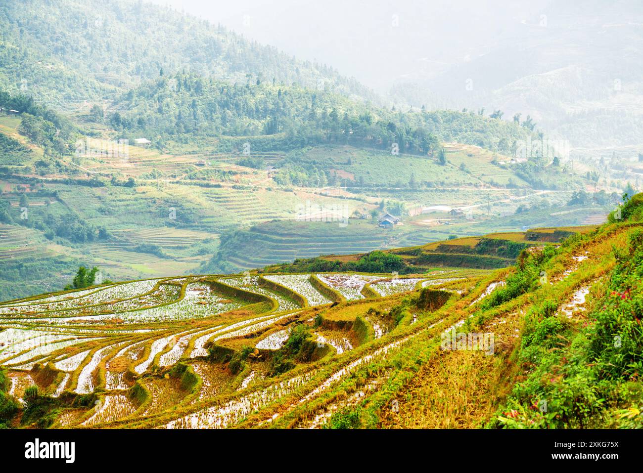 View of rice terraces filled with water at highlands. Vietnam Stock ...
