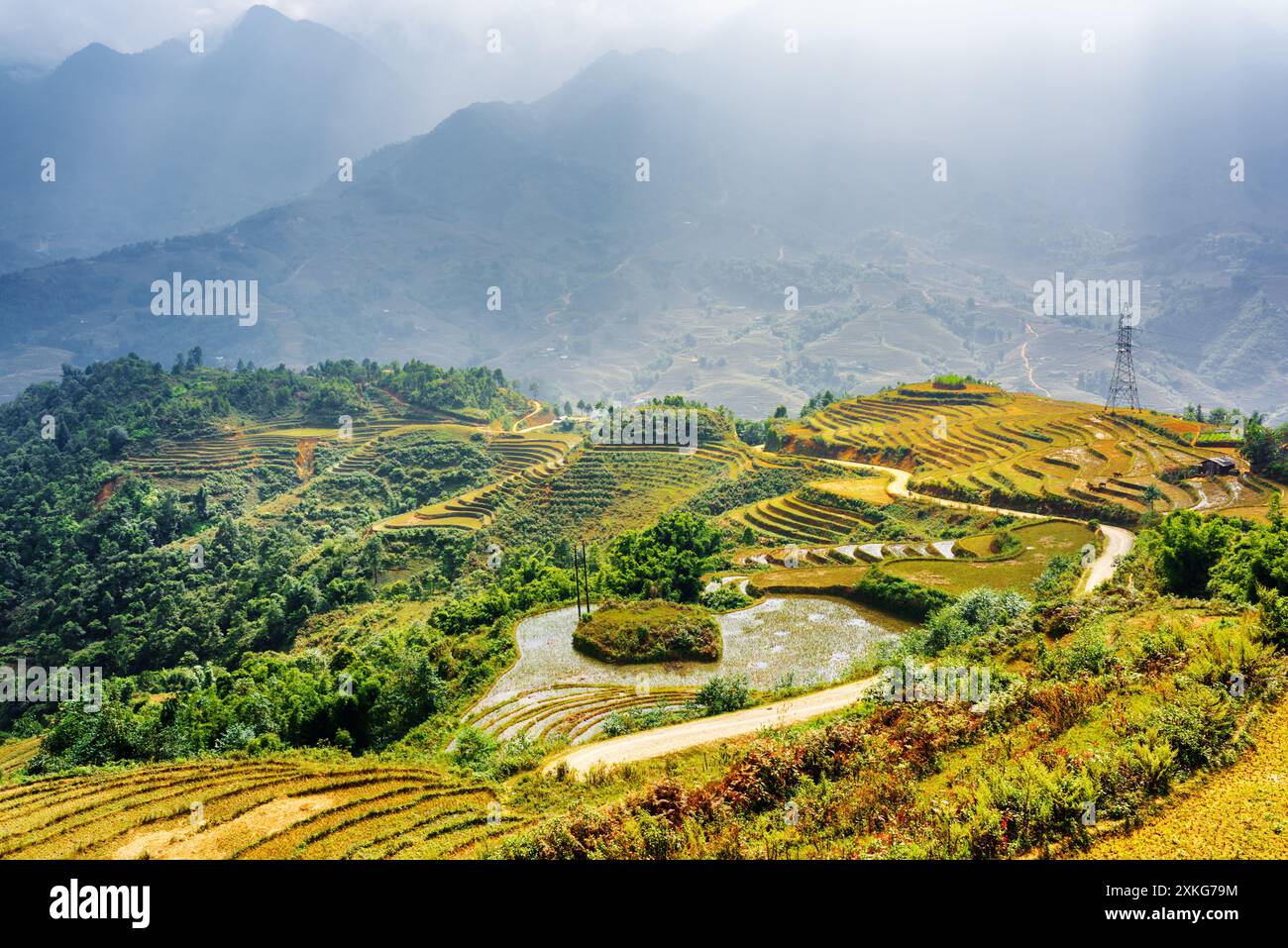 Scenic view of rice terraces filled with water in Vietnam Stock Photo ...