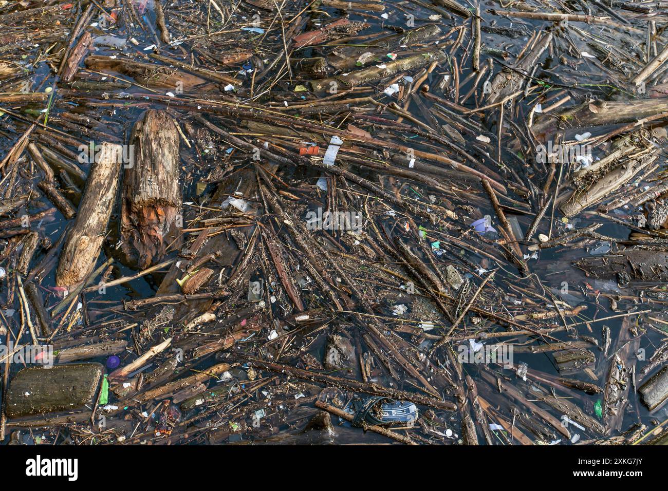 Plastic in our water hi-res stock photography and images - Alamy