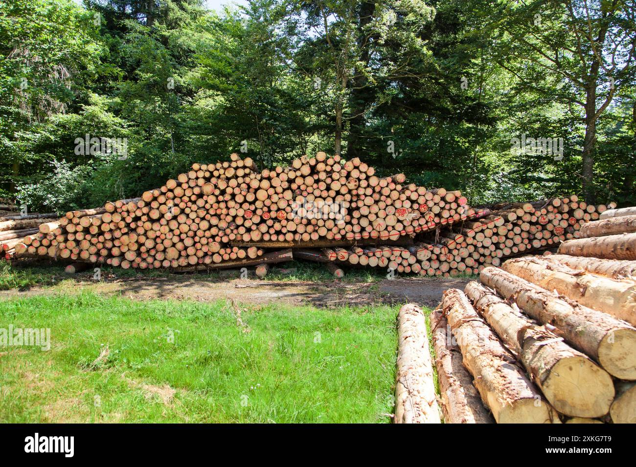 German lumber yard hi-res stock photography and images - Alamy