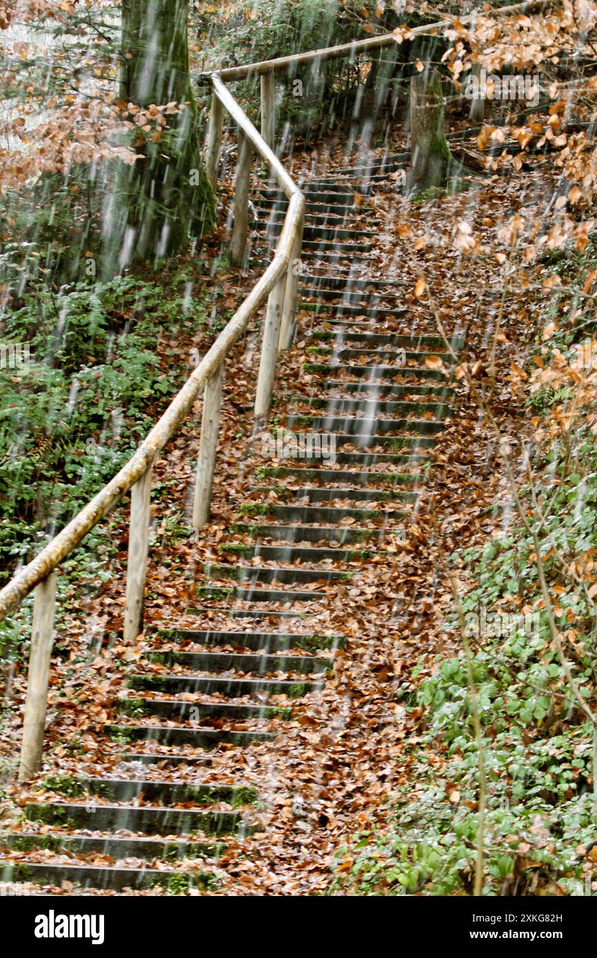 stairs in the forest in a snow shower, Germany Stock Photo - Alamy