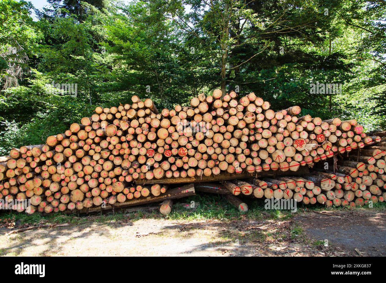 German lumber yard hi-res stock photography and images - Alamy