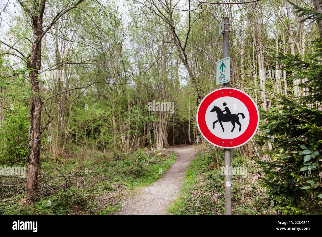No riding' sign on the forest path, Germany Stock Photo - Alamy