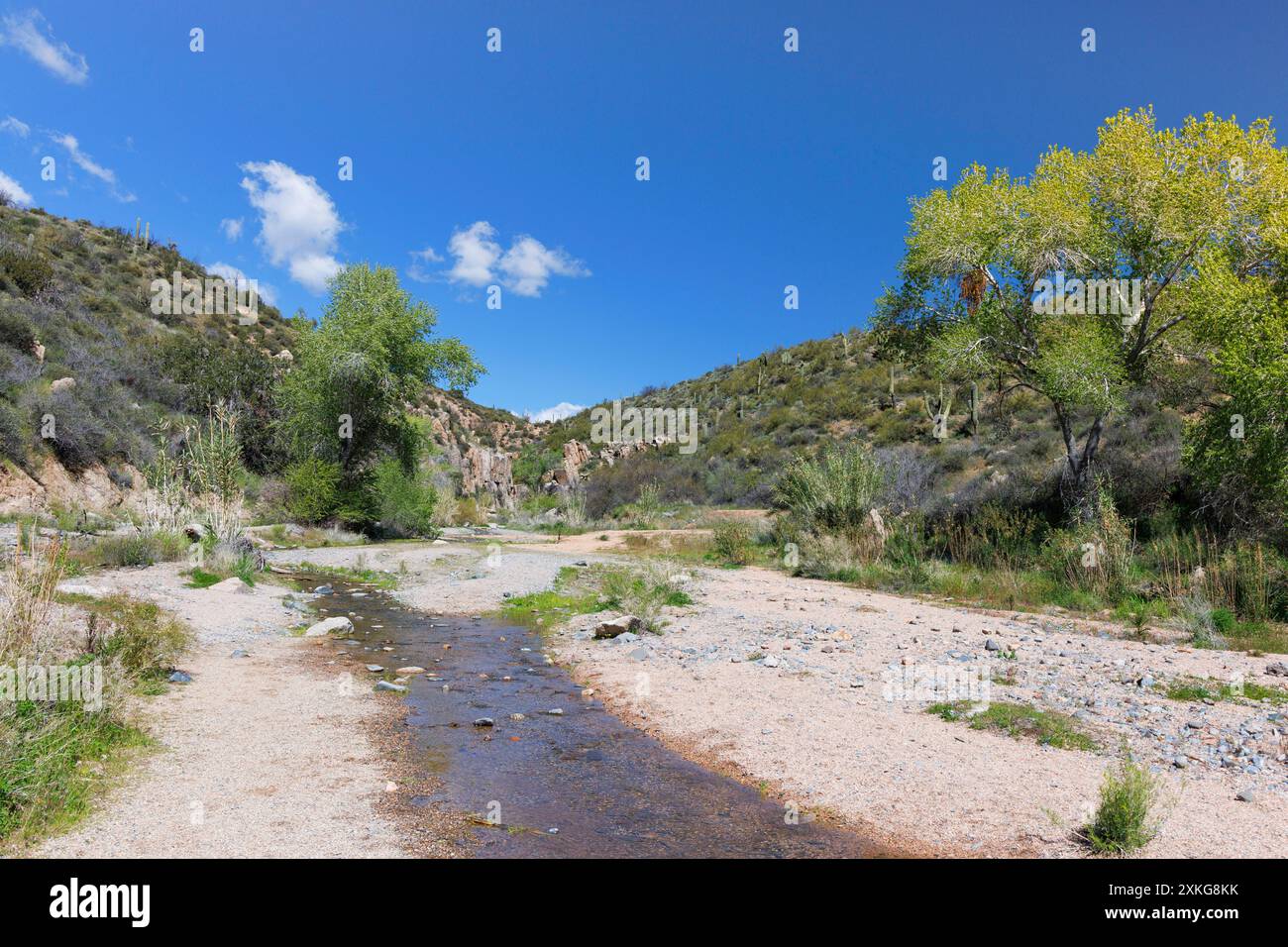 Blue Wash Trail to Camp Creek Falls, USA, Arizona, Sonoran, Cave Creek ...