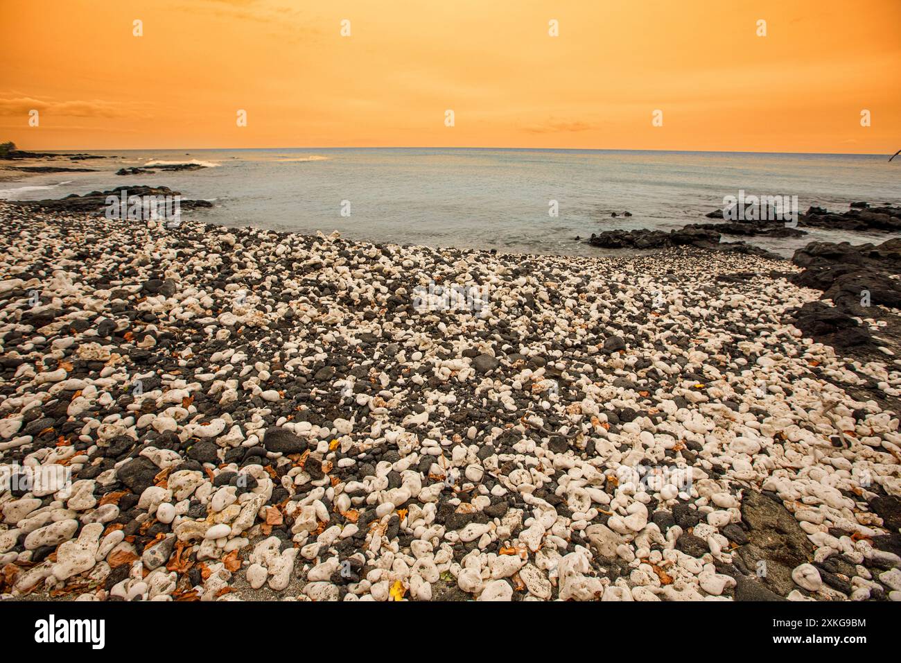 beach with black and white lava stones in the sunset, USA, Hawaii ...