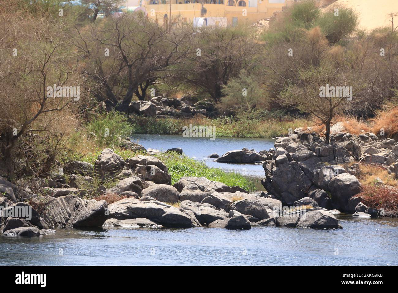 NAture of Nile River in Aswan - Egypt Stock Photo - Alamy